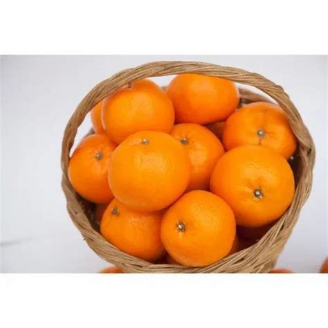 Kinnow in Abohar कनन अबहर Latest Price Mandi Rates from Dealers in Abohar