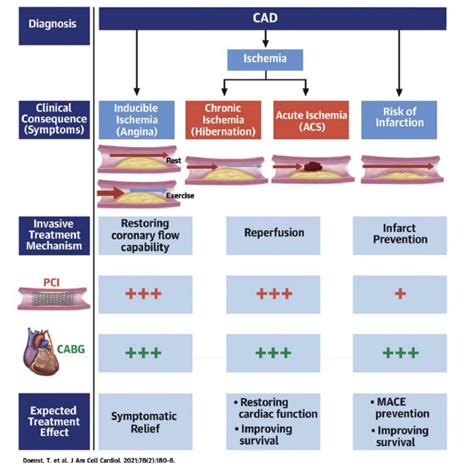 Andaleeb A On Linkedin Cabg Cabg Pci Cardiacsurgery Cardiology