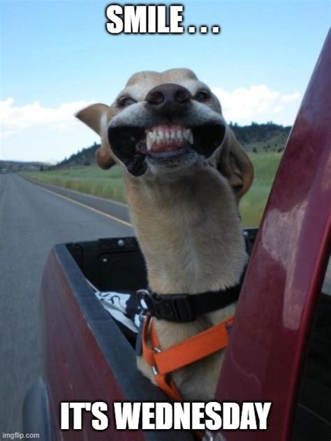 Smile Its Wednesday Imgflip