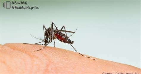 April 2021 Lembaga Pers Mahasiswa Sinovia