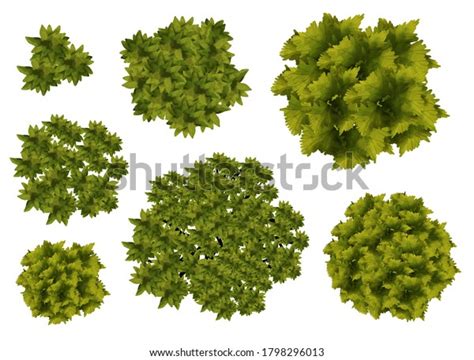 Set Watercolor Tree Top View Landscape Stock Illustration 1798296013 Shutterstock