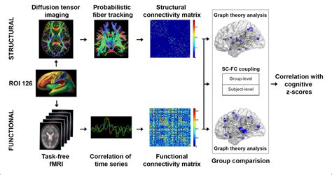 Figure 1 From Alterations In Brain Network Topology And Structural Functional Connectome