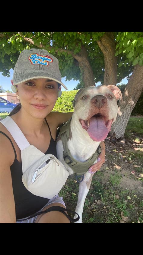 Stephanie Chavez Stephctv Tiktok