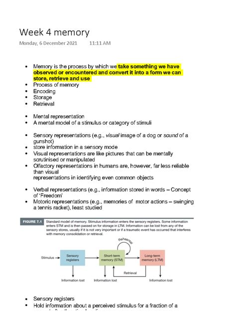 Week 4 Memory Lecture Notes Memory Is The Process By Which We Take