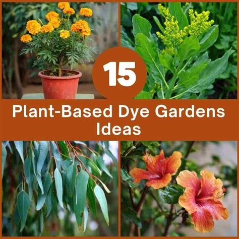 15 Plant Based Dye Gardens Ideas Youll Love