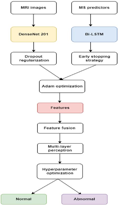 figure 1 from a multi modality based multiple sclerosis detection model