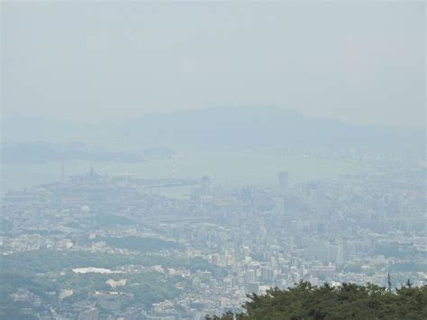 ハチクマの秋の渡り 皿倉山観察会1回目 9 18 月 2023 鳥とアウトドアと日常