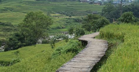 Lanscape 경작 경치 경치가 좋은 계단식 논 고요한 골짜기 구름 낀 하늘 낮 녹색 녹지 논 농경지 농업 농작물 농촌 관광 농촌의 동남