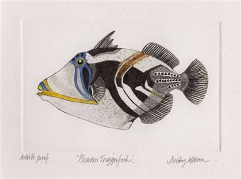 Picasso Triggerfish Coral Seas Small Prints Hand Coloured Etching