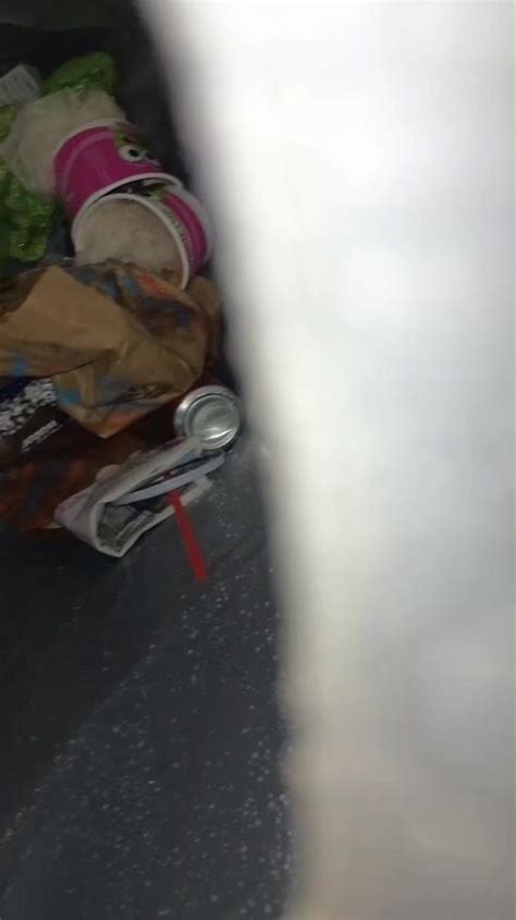 Diaper Womananddog Shit Moldy Trash Milk Public Smear