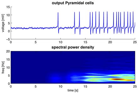 Neural Oscillation Wikipedia