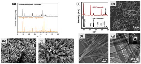 Biomineralization And Properties Of Guanine Crystals