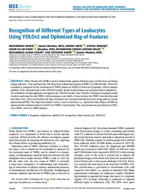 Pdf Recognition Of Different Types Of Leukocytes Using Yolov2 And