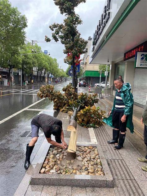 嘉兴陶庄党员干部抗台一线党旗飘 腾讯新闻
