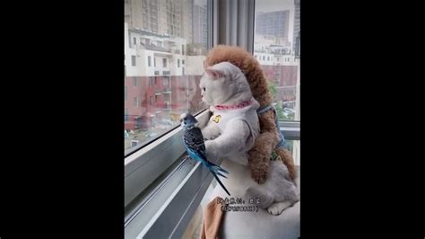 С добрым утром Людмила Зайцева ВКонтакте