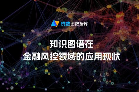 知识图谱在金融风控领域的应用现状