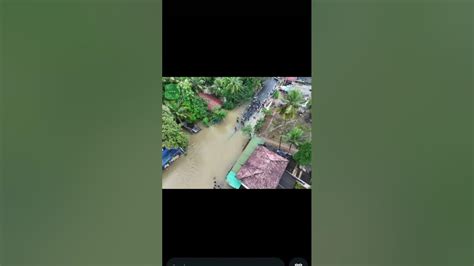 මේ Video එකේ තියෙන මල් වර්ග දෙක දකින අය Comment කරන්න ️💕♥️💕 Youtube