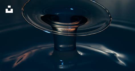 물에 떠 있는 한 방울의 물방울 사진 Unsplash의 무료 검정 이미지