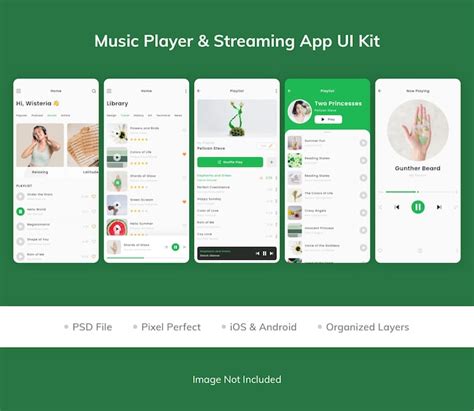 뮤직 플레이어 앰프 스트리밍 앱 Ui 키트 프리미엄 Psd 파일