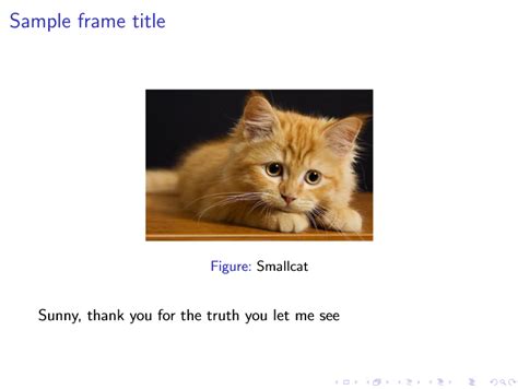 Graphics Beamer How To Avoid Image Being Shifted Due To Length Of Text Underneath TeX