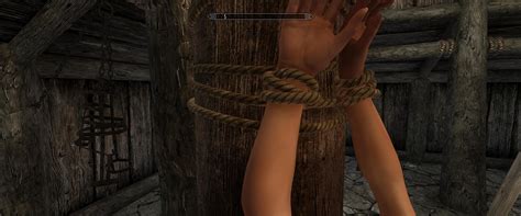 ZaZ Animation Pack ZAP Page 59 Downloads Skyrim Adult Sex Mods LoversLab