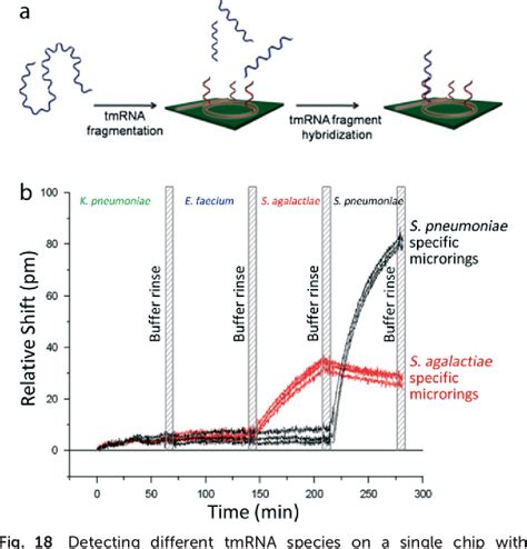 Figure 18 From Oligonucleotide Based Label Free Detection With Optical Microresonators