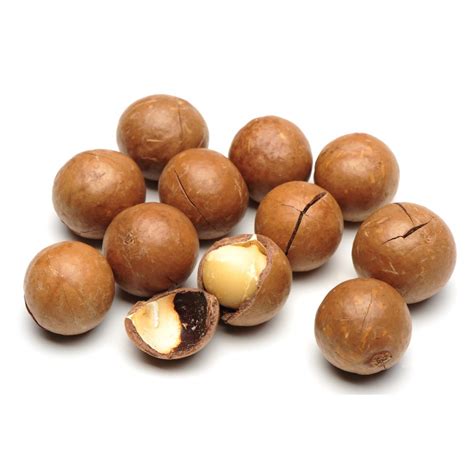 Macadamia Nuts In Shell Nuts Wholesale Bulk Nutsite