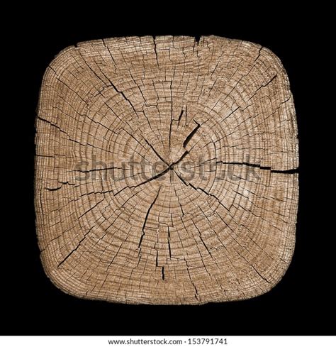 Cross Section Tree Trunk Showing Growth Stock Photo Shutterstock
