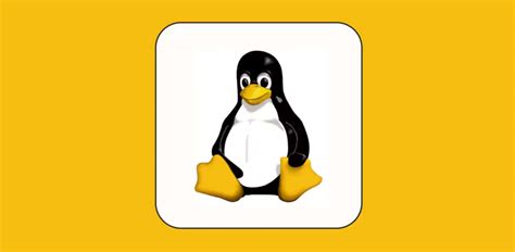 Desktop Linux Now Has Over 4 Of The Os Market How