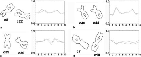 A D Chromosome Groups And Their Associated Feature Vectors Download Scientific Diagram