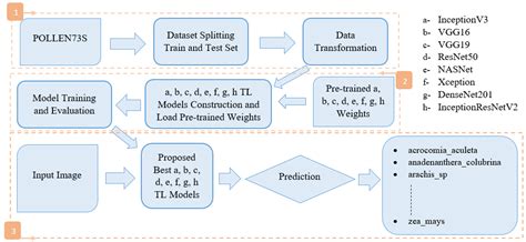 Pollen Grain Classification Using Some Convolutional Neural Network