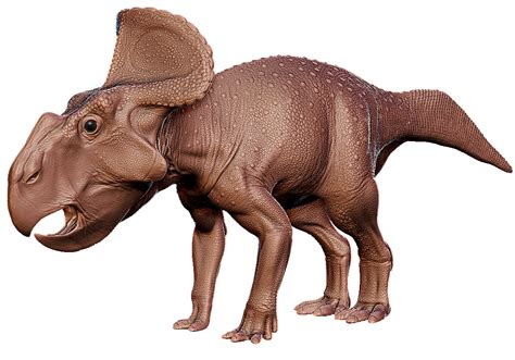 Protoceratops The Isle Wiki Fandom Powered By Wikia