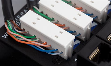 Wirepath™ 8 X 8 Cat 66a Data Patch Module Snap One