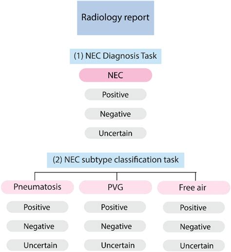 Task Formulation 1 Nec Diagnosis And 2 Nec Subtype Classification Download Scientific