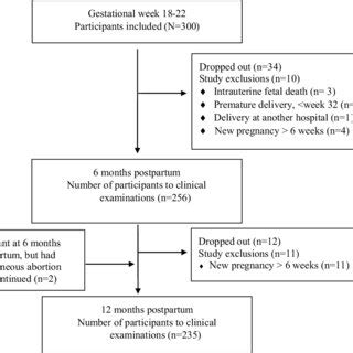 Flowchart Illustrating The Number Of Women Examined At Each Clinical Download Scientific
