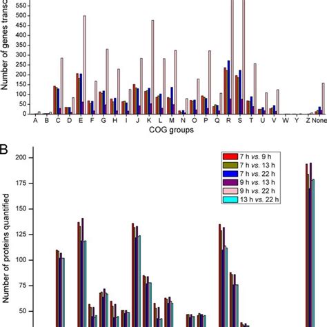 Cog Analysis A Functional Classification Of The Genes Expressed At