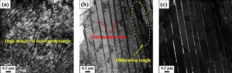 microstructure characteristics on the extreme surface of the sample