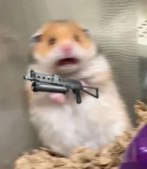 「csgo搞笑图集」顶级操作 重要性