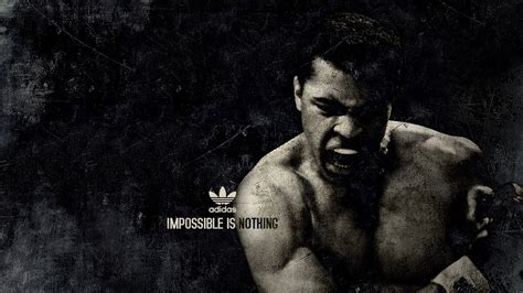 Mike Tyson Wallpaper 74 Pictures Wallpaperset