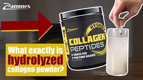 What Is Hydrolyzed Collagen And How Is It Different From Collagen Zammex