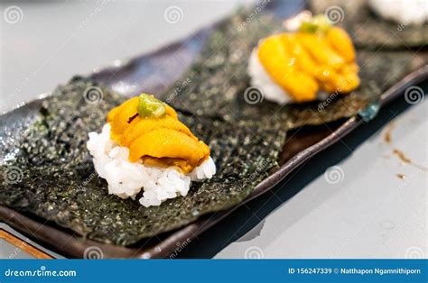Uni Sushi Or Egg Shells Sushi Stock Image Image Of Healthy Orange 156247339