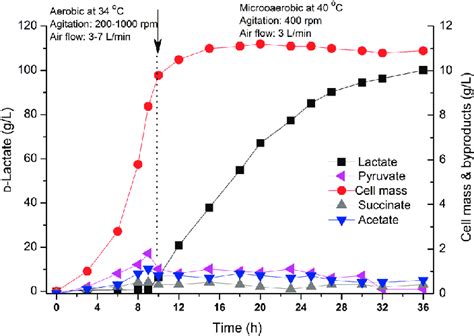 Representative Kinetics Of D Lactate Production By The Engineered
