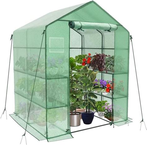 Kwekerijkas Voor De Tuin 143 X 143 X 195 Cm Met Oprolbare Deur En Raam