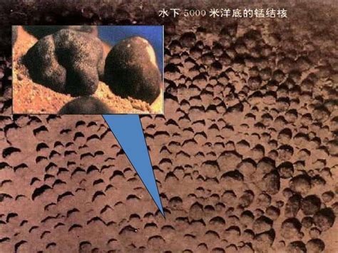 海洋科普 海洋锰结核 南海海洋资源利用国家重点实验室