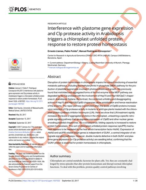 Pdf Interference With Plastome Gene Expression And Clp Protease Activity In Arabidopsis
