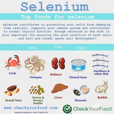 Food Sources Of Selenium Include At Charles Amos Blog