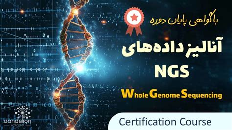آنالیز داده‌های Ngs داده‌های توالی‌یابی کل ژنوم Wgs آکادمی قاصدک