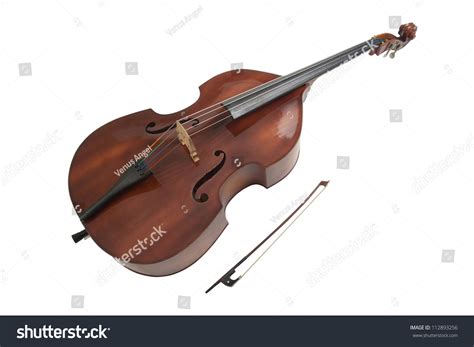 Double Bass Or String Bass Upright Bass Stand Up Bass Or Contra Bass