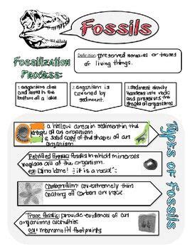 Fossil Doodle Notes