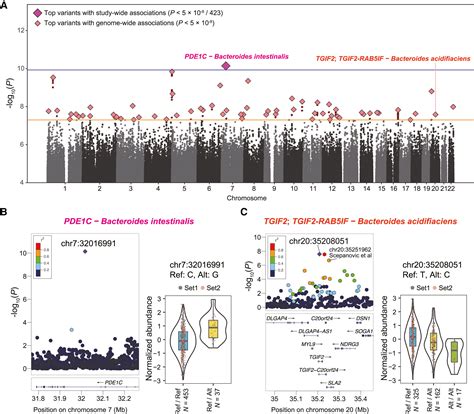 Analysis Of Gut Microbiome Host Genetics And Plasma Metabolites Reveals Gut Microbiome Host